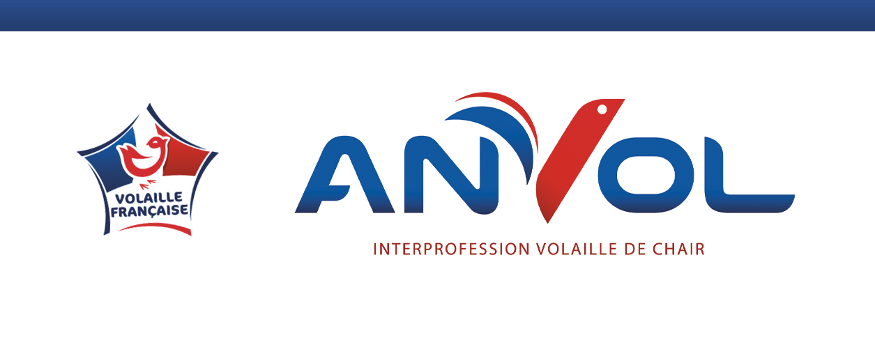 Les éleveurs Français de volaille dénoncent l'acharnement et la ...