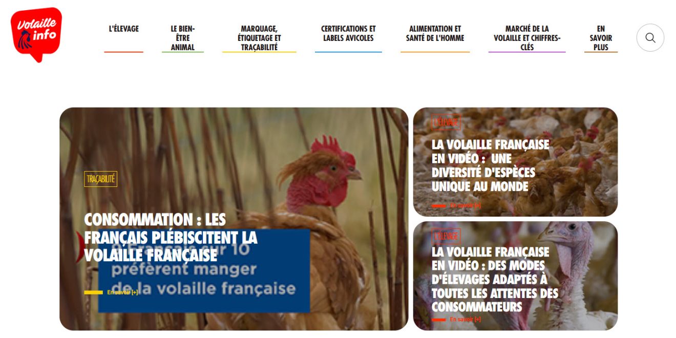 Volaille-info.fr : le nouveau blog pour tout savoir sur les volailles ...