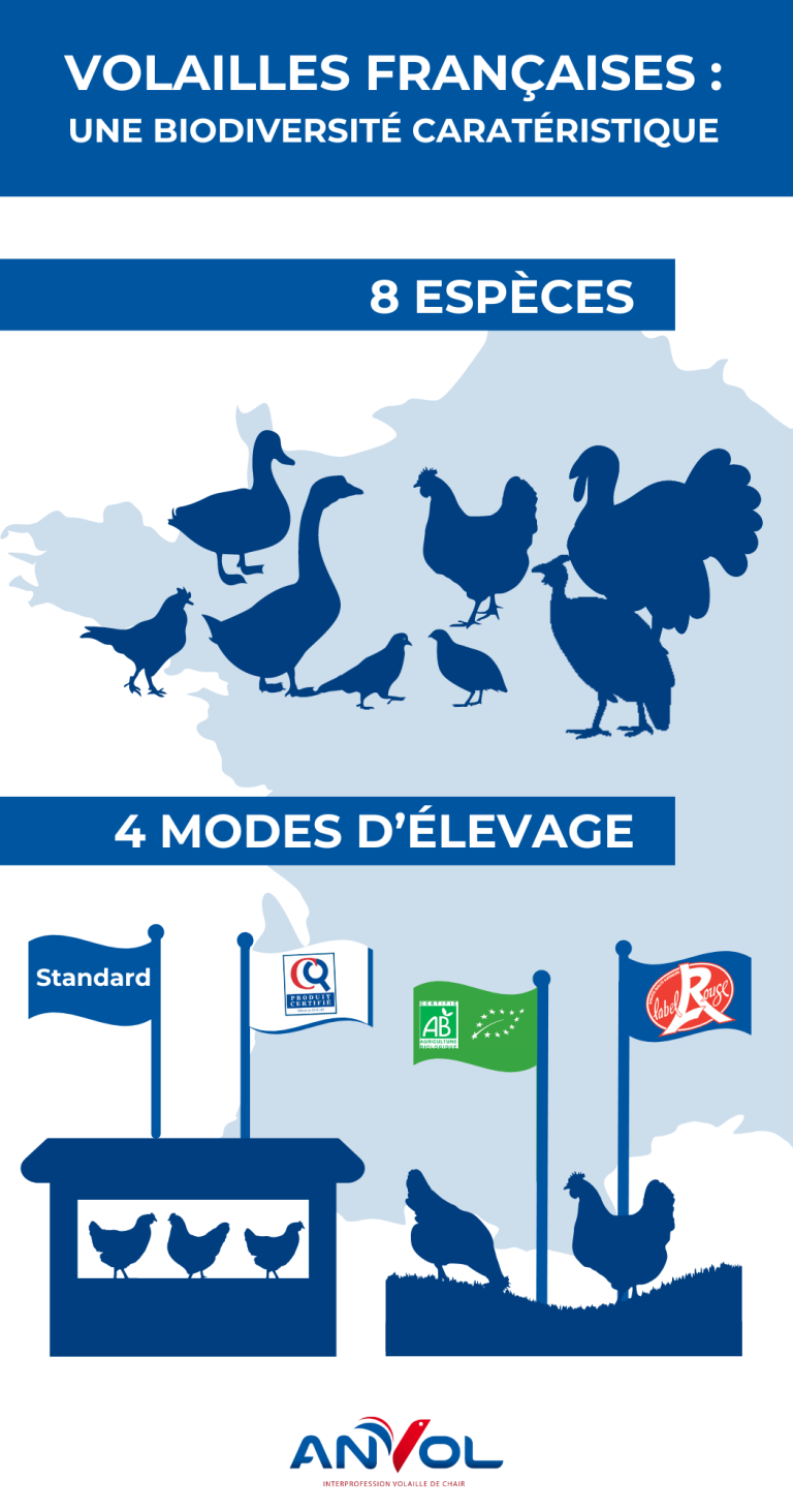 Zoom sur le recensement agricole : les volailles françaises issues d ...